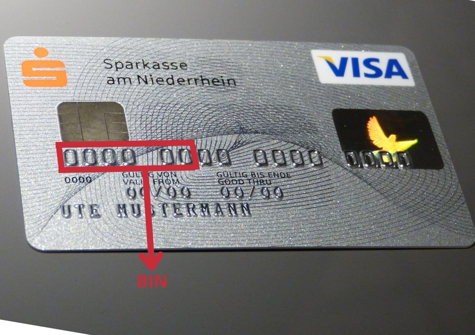 Guide to BIN Numbers in Payment Processing - PayCompass